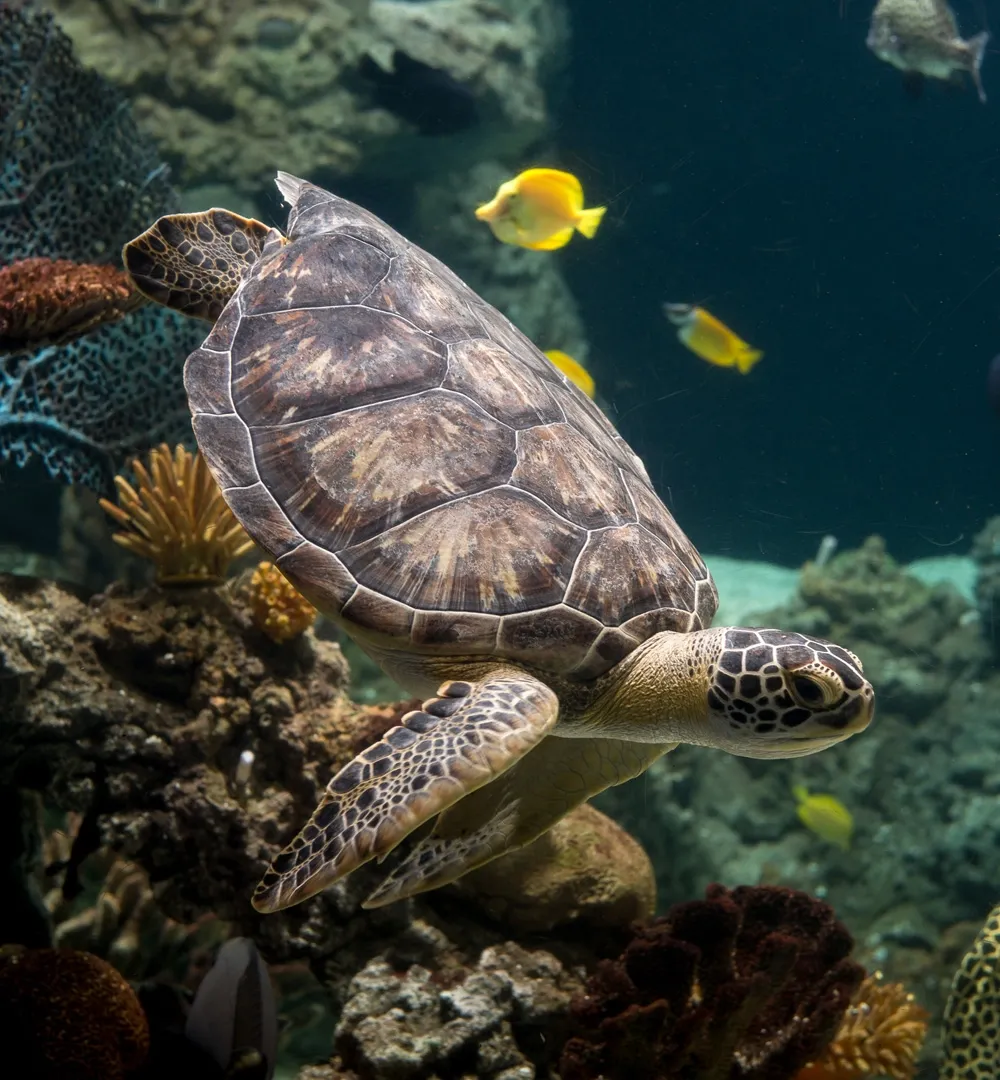 Plan Your Visit - Pittsburgh Zoo & Aquarium