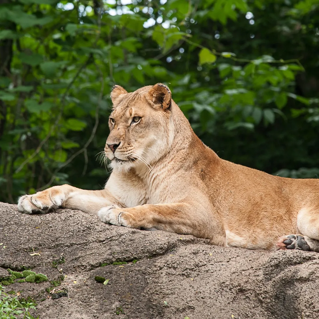 Food & Retail - Pittsburgh Zoo & Aquarium