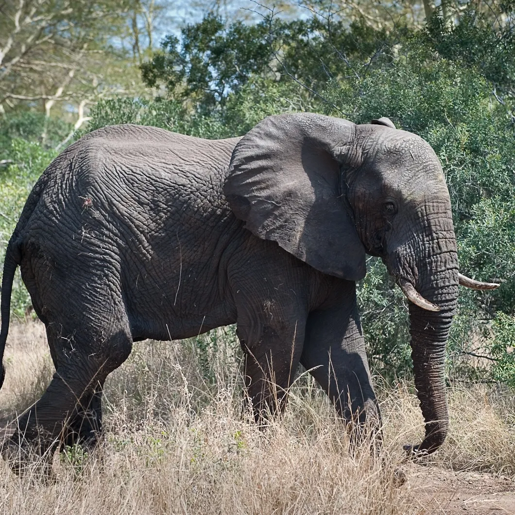 Pittsburgh Zoo & Aquarium - Pittsburgh Zoo & Aquarium
